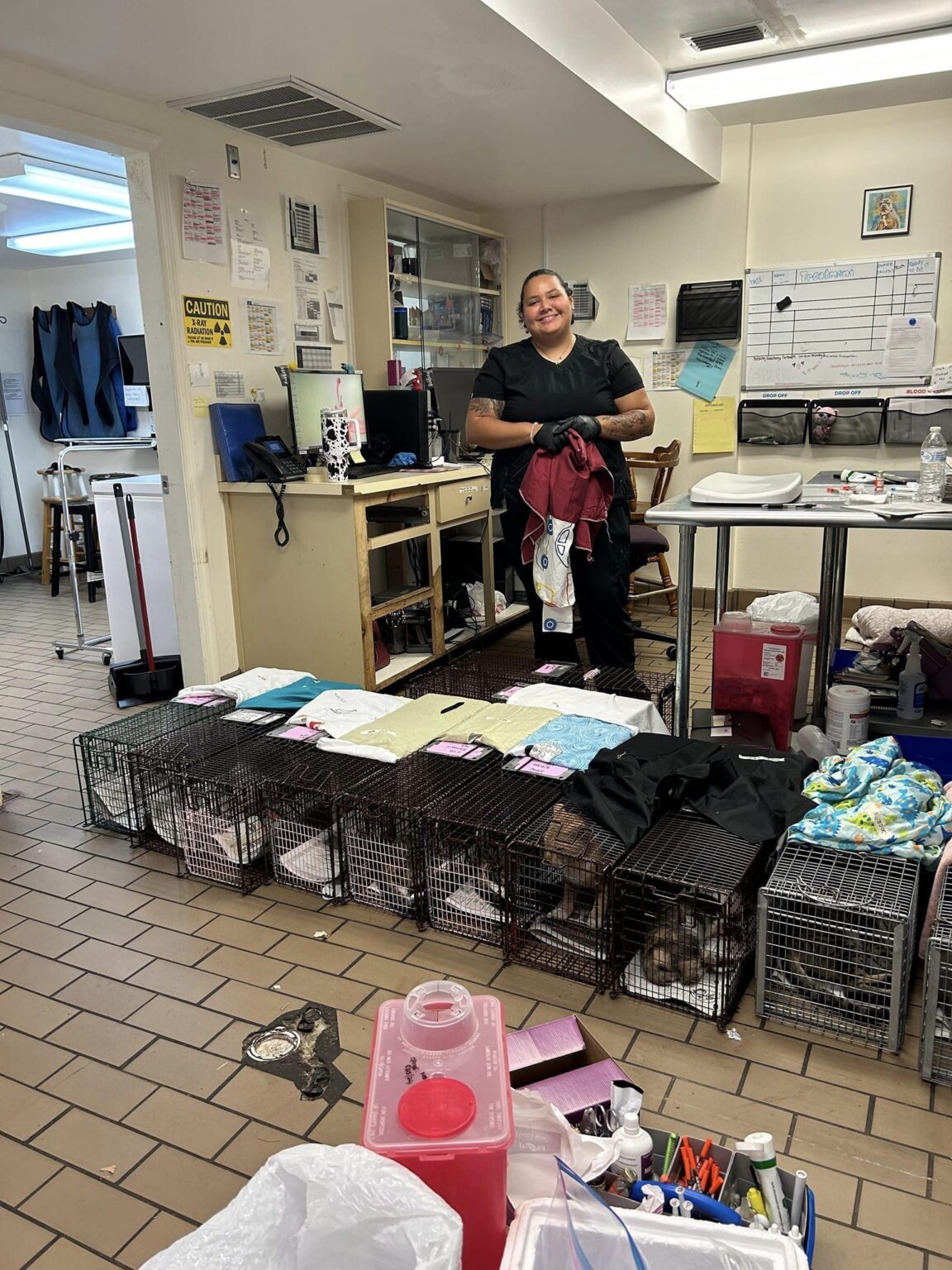 Veterinary Assisting - Southern Technical College